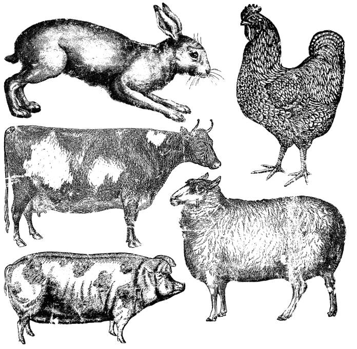 Farm Animals 12x12 IOD Stamp – The Purple Painted Lady